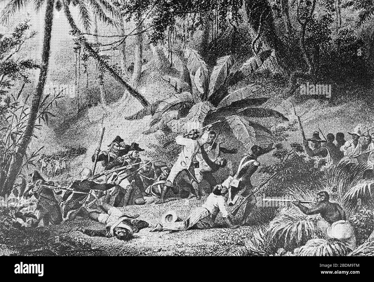 Haitian revolution hi-res stock photography and images - Alamy