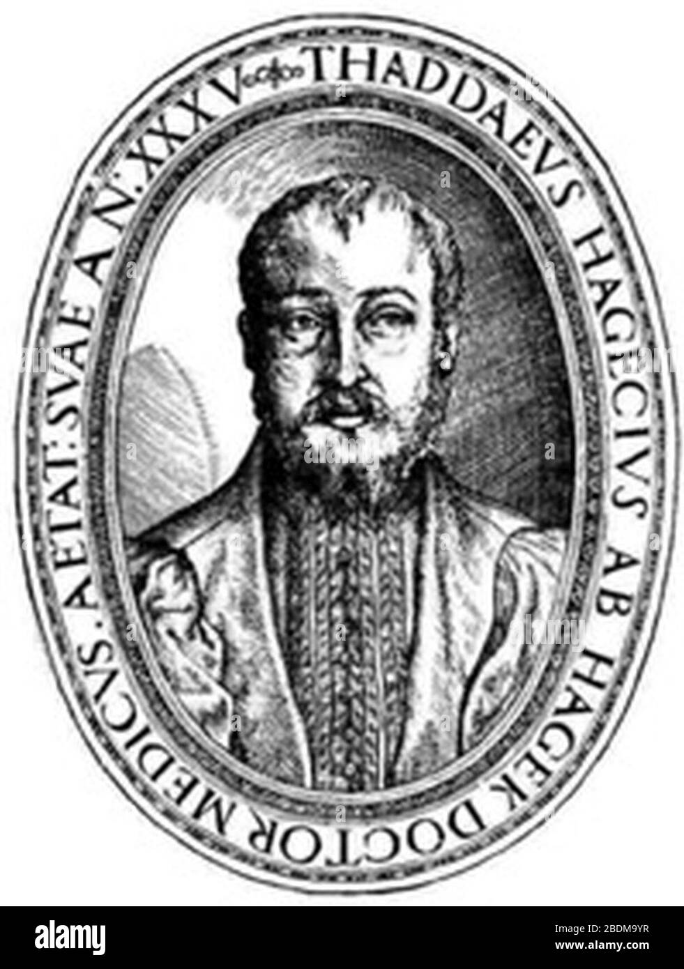 Hajek hi-res stock photography and images - Alamy