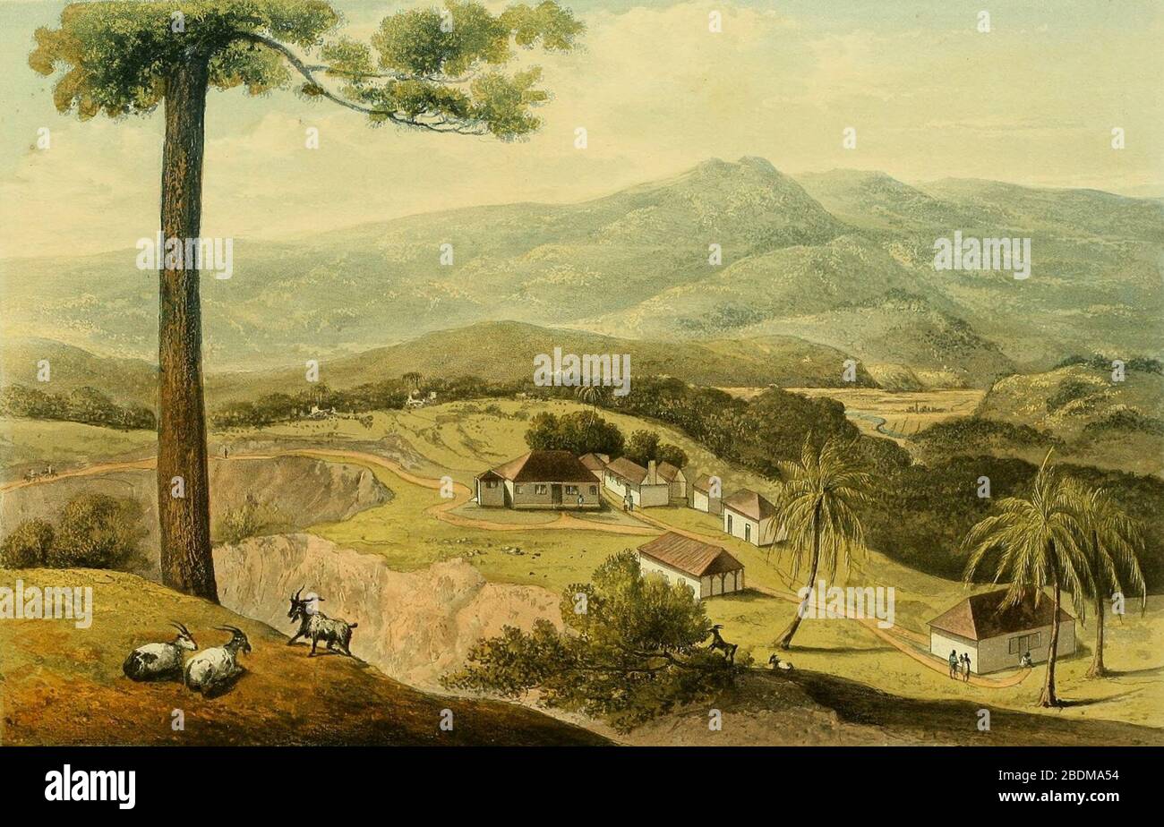 Hakewill picturesque tour jamaica hi-res stock photography and images ...