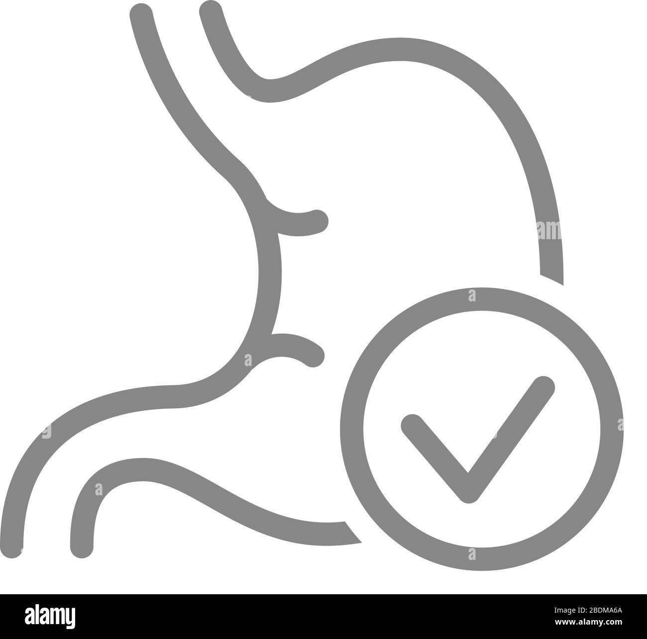 Stomach with tick checkmark line icon. Healthy internal organ symbol ...