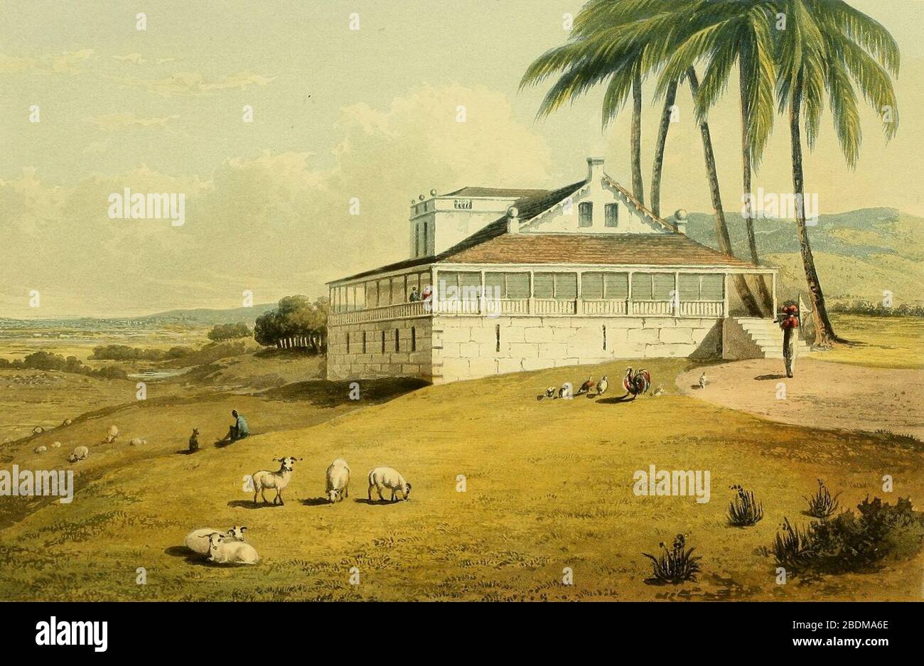 Hakewill picturesque tour jamaica hi-res stock photography and images ...