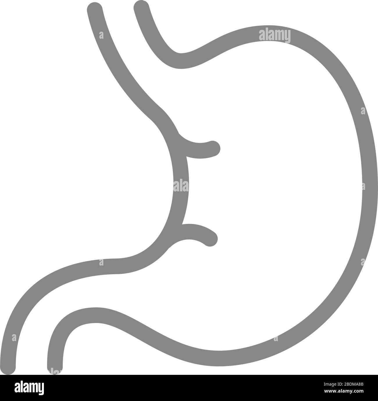 Human stomach line icon. Healthy internal organ symbol Stock Vector ...