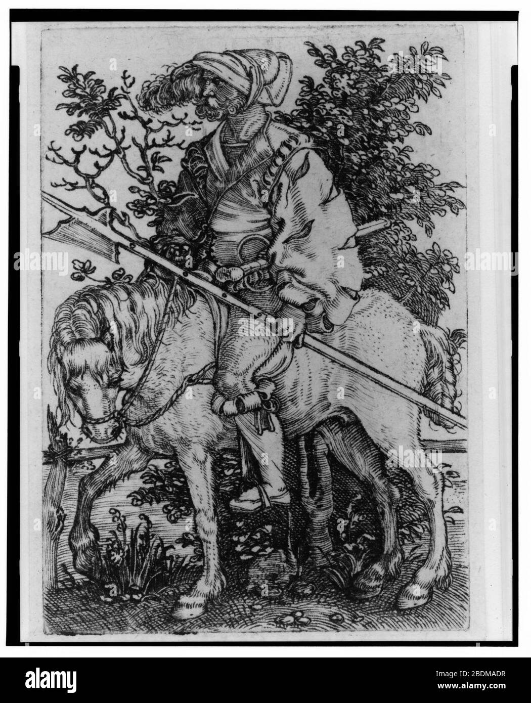 Halberdier on horseback Stock Photo - Alamy
