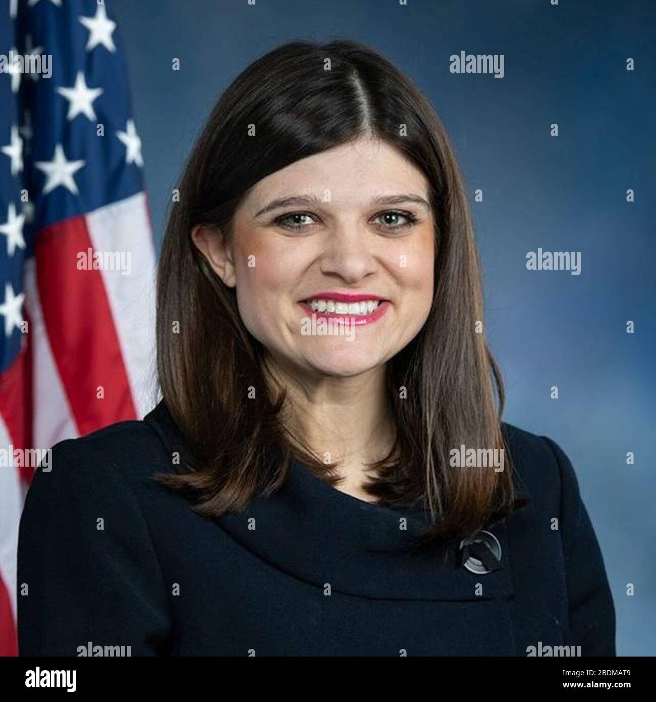 Haley Stevens, official portrait, 116th Congress (cropped square Stock ...