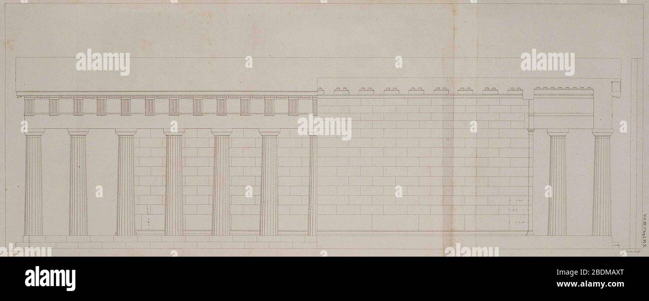 Half the flank, and half the longitudinal section of the temple ...