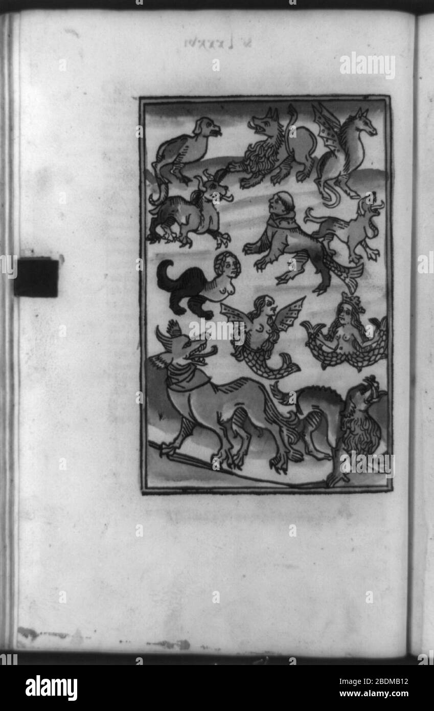 Half-human monsters called ‘wonder-people‘ and soulless animal monsters ...