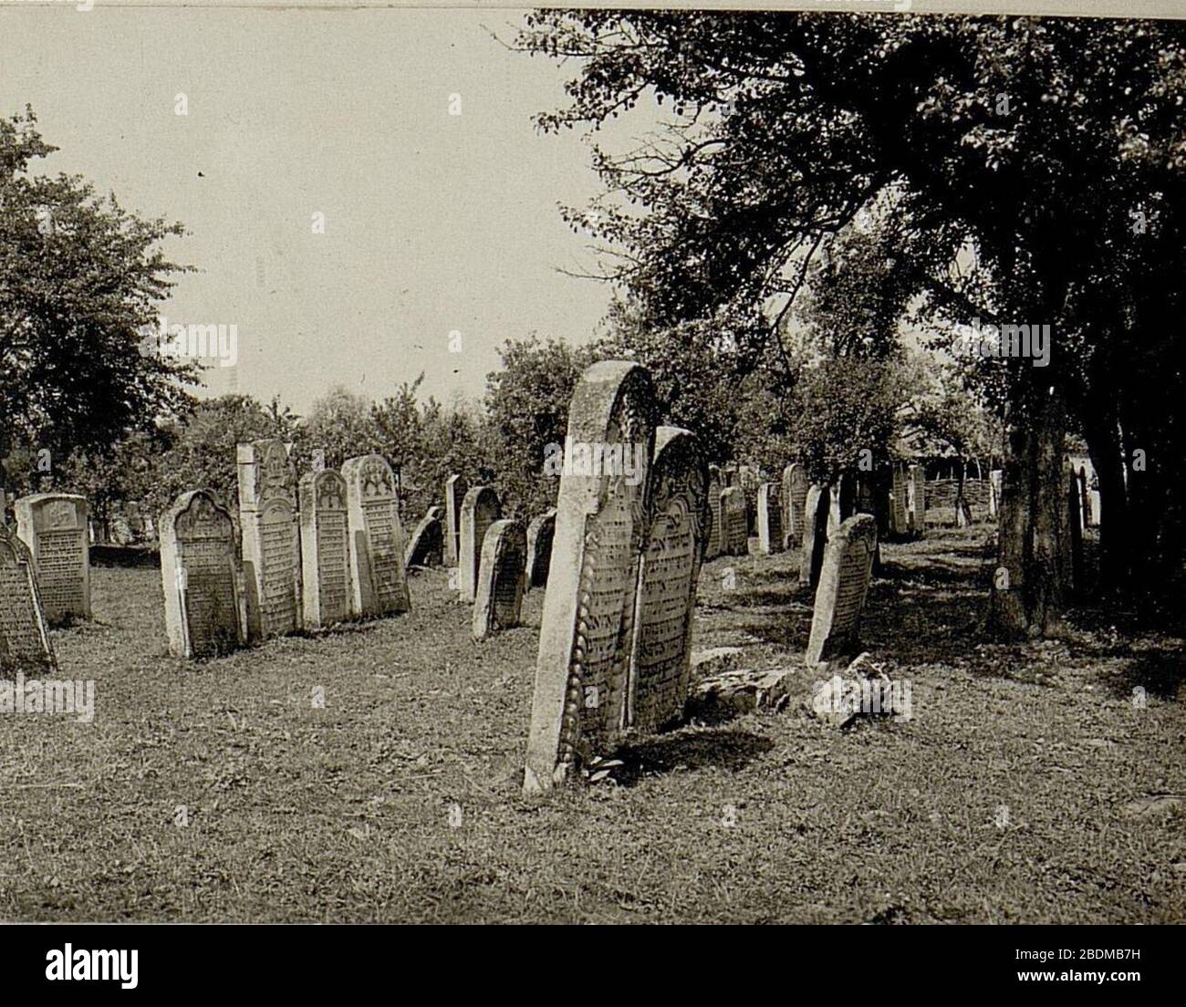 Halych High Resolution Stock Photography and Images - Alamy