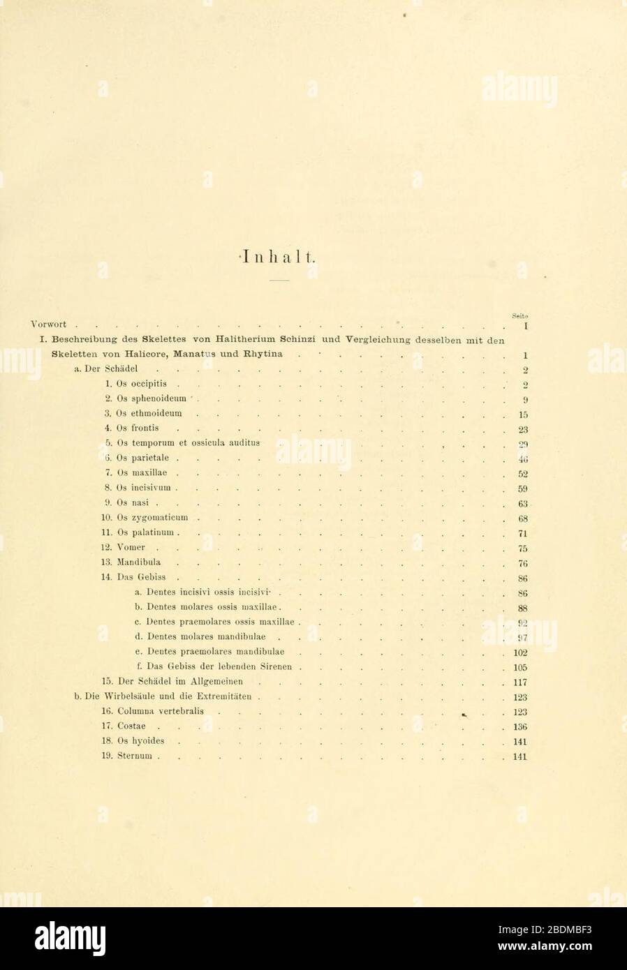 Halitherium schinzi, die fossile Sirene des Mainzer Beckens Stock Photo ...