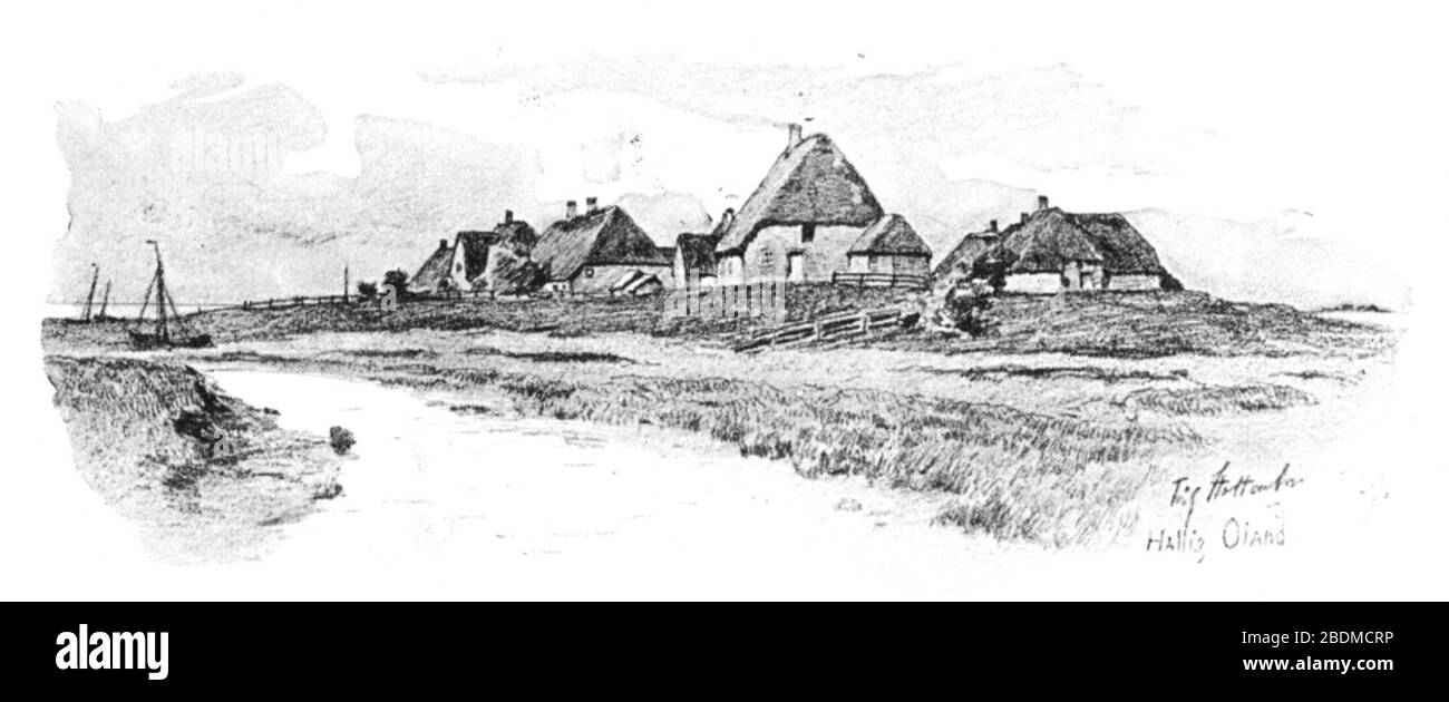 Hallig oland hi-res stock photography and images - Alamy