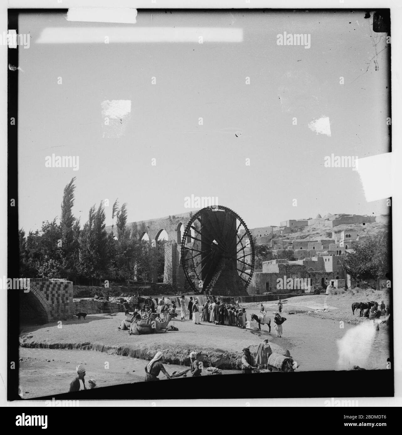 Hamath hi-res stock photography and images - Alamy