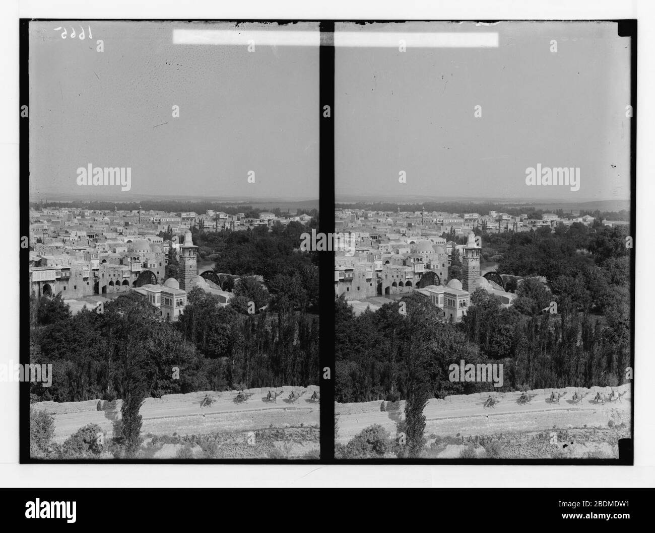 Hama (Hamath). View of Hama from castle hill Stock Photo - Alamy