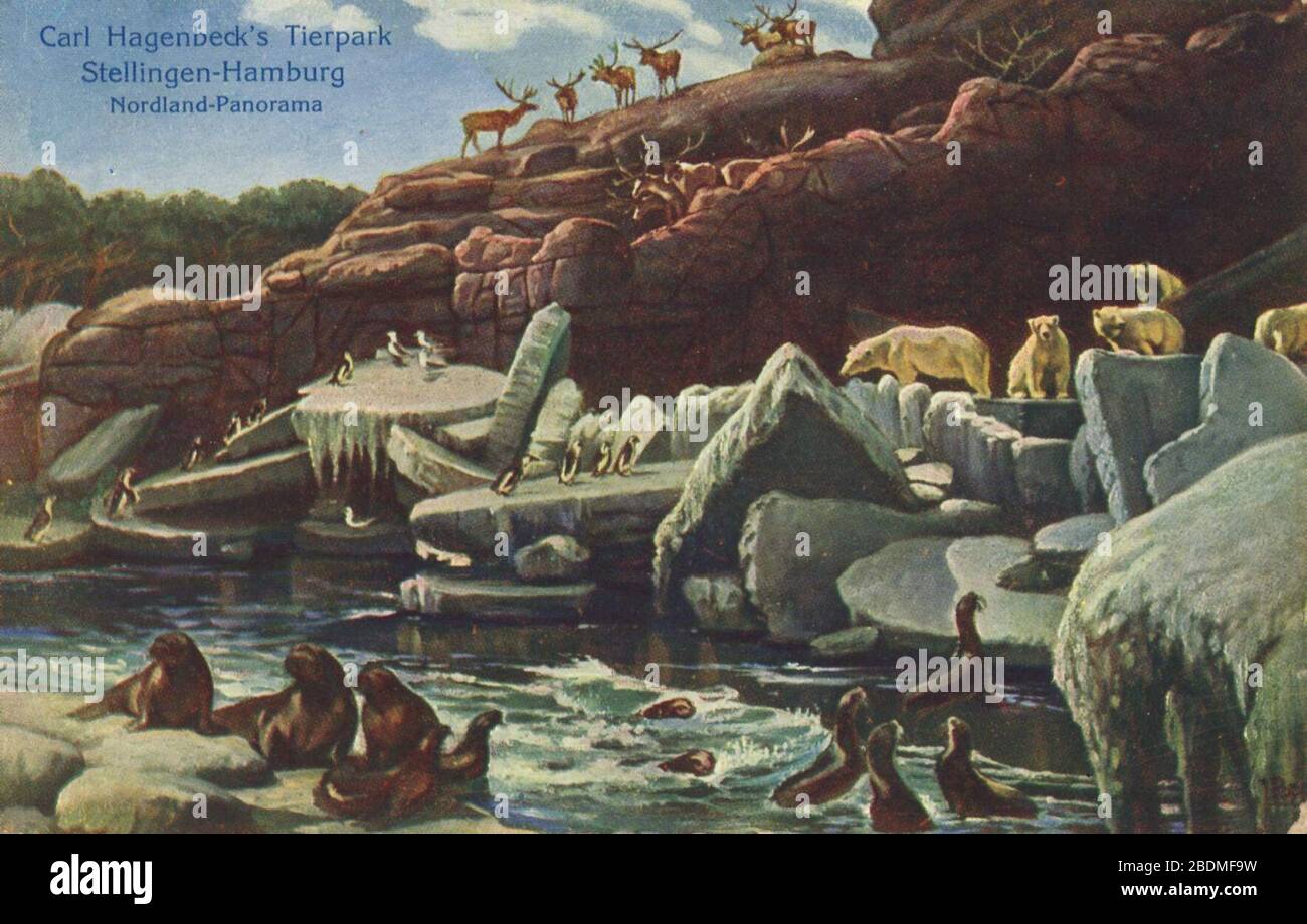 Carl hagenbecks tierpark hi-res stock photography and images - Alamy
