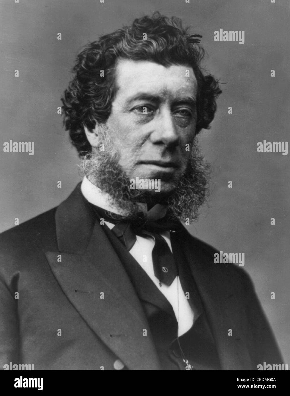 Hamilton Fish - retouched Stock Photo - Alamy