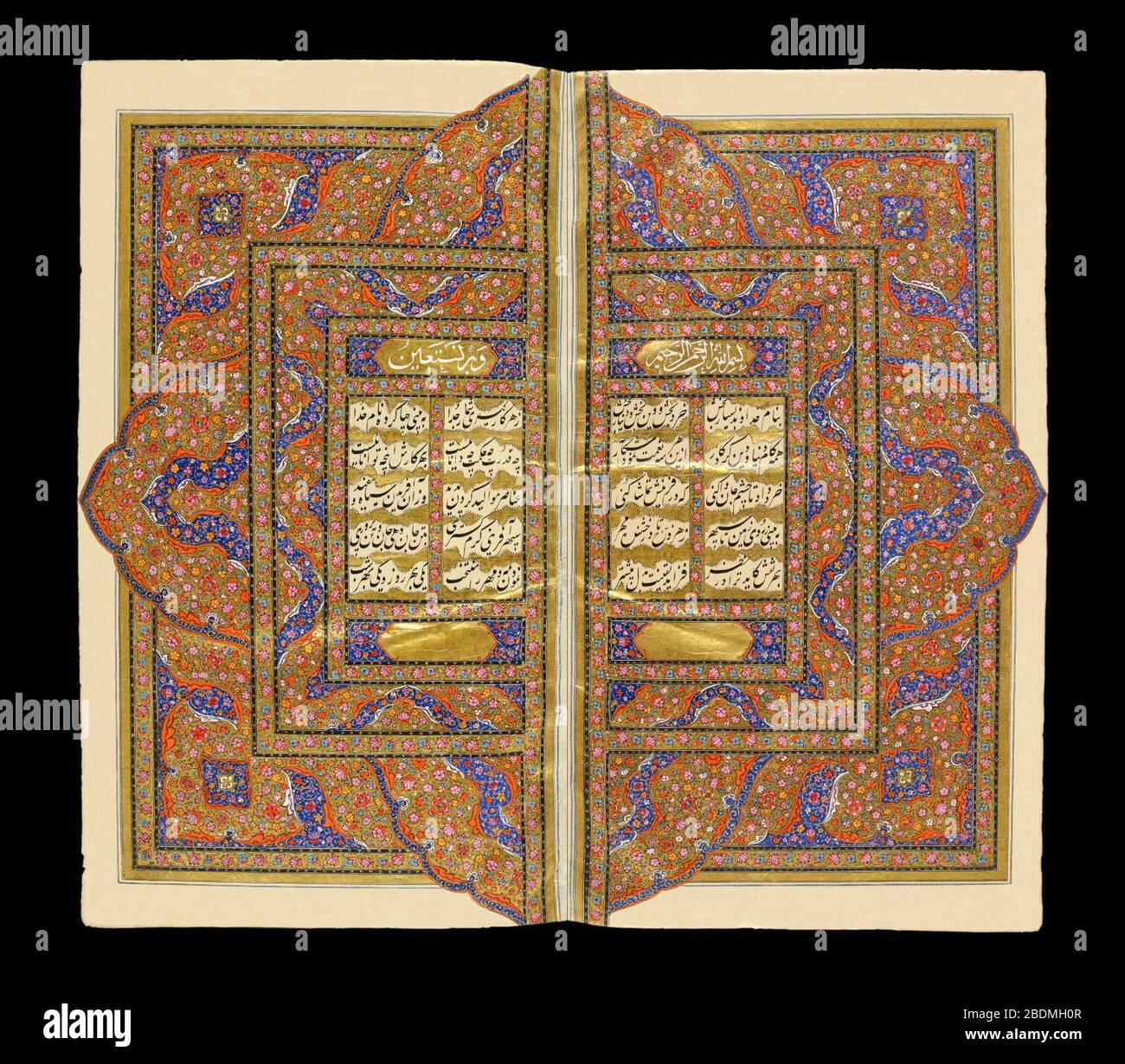 Bazil hi-res stock photography and images - Alamy