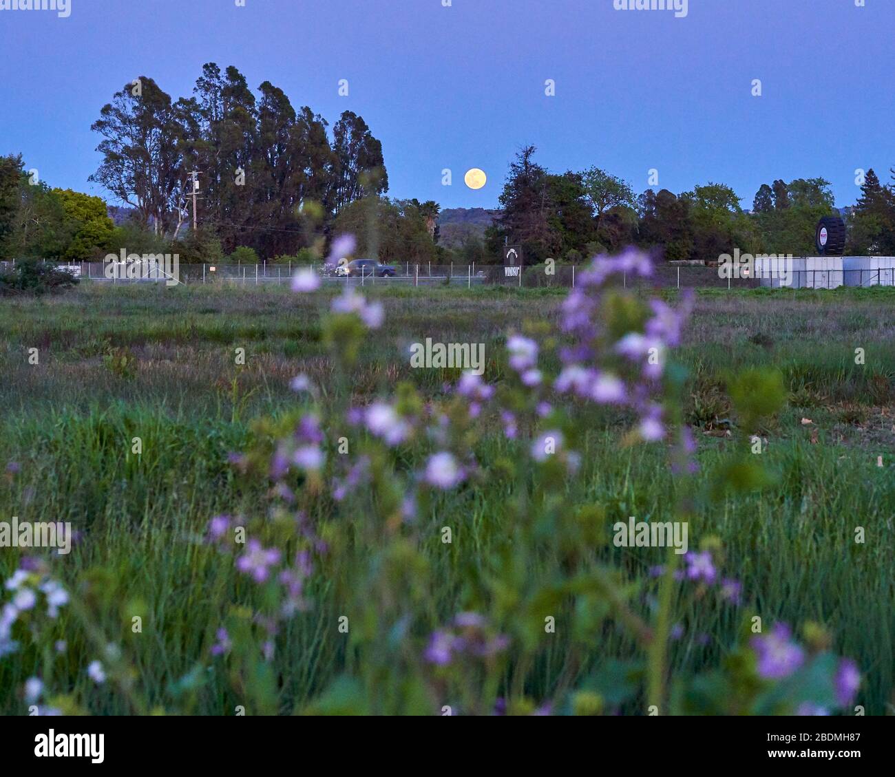Full super Moon rises over hills and a rural grass field with ...