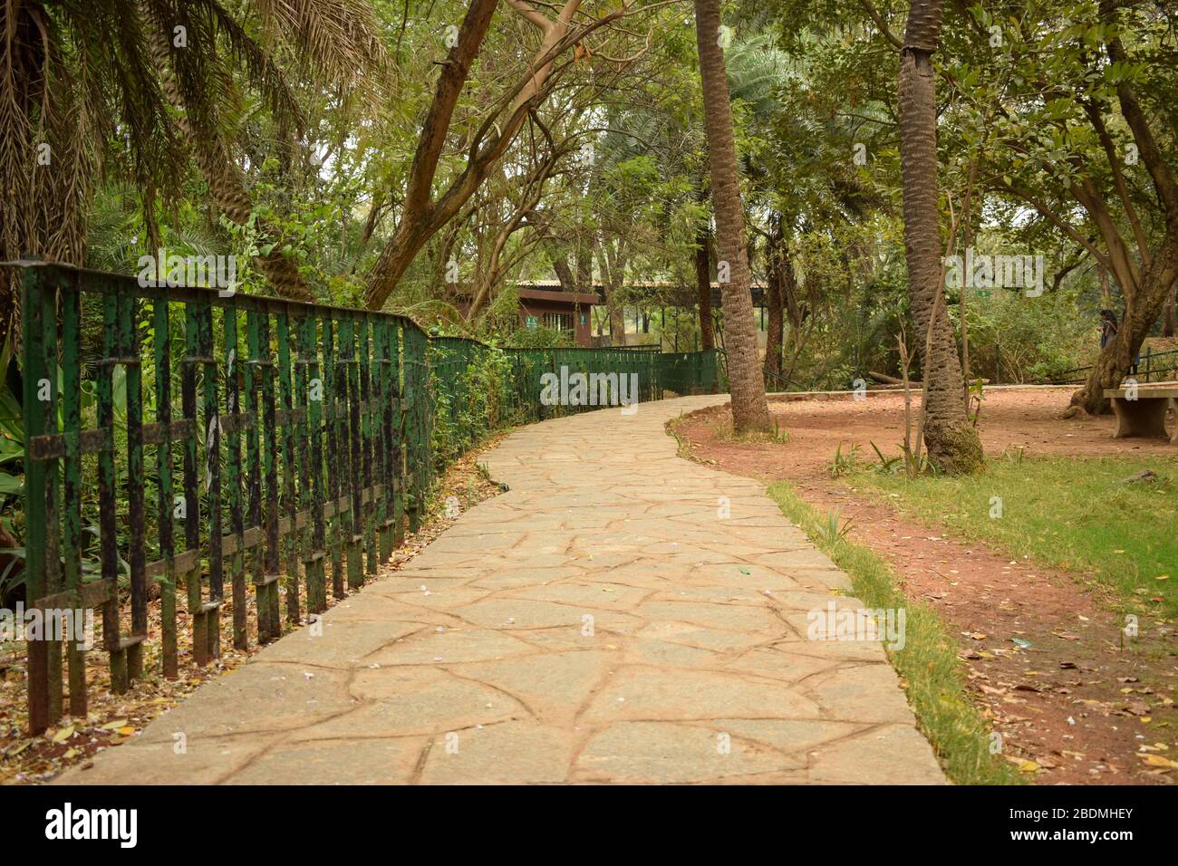 The Stone block walk path in the park/garden stock photograph image ...