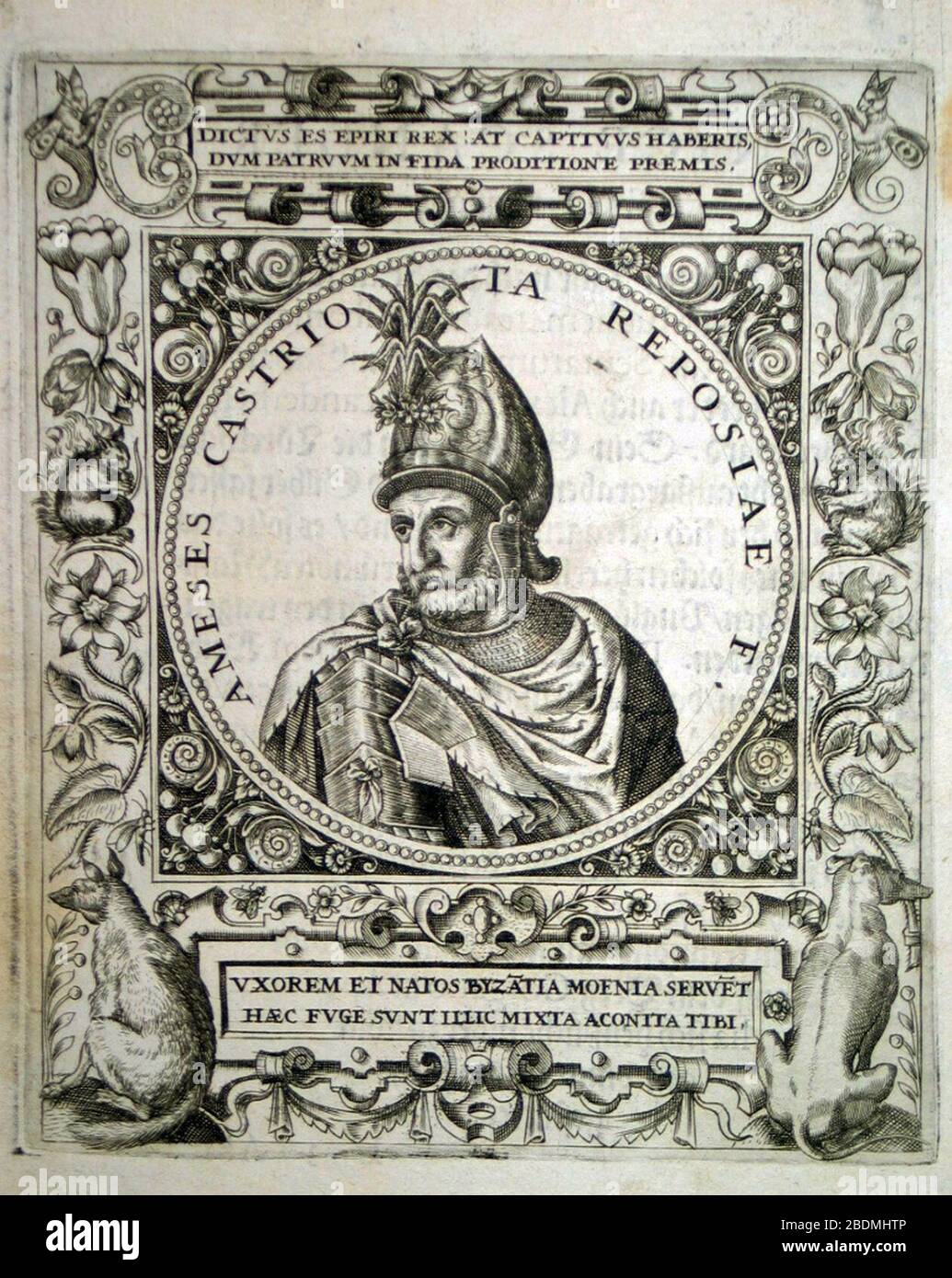 Kastrioti hi-res stock photography and images - Alamy