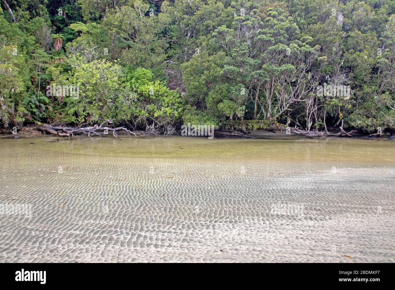 Little river new zealand hi-res stock photography and images - Alamy