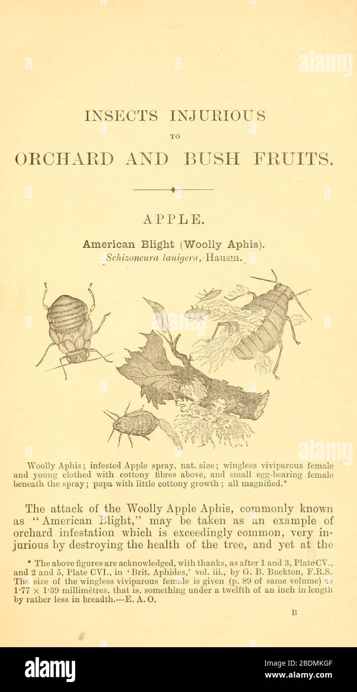 Handbook of insects injurious to orchard and bush fruits with means of ...