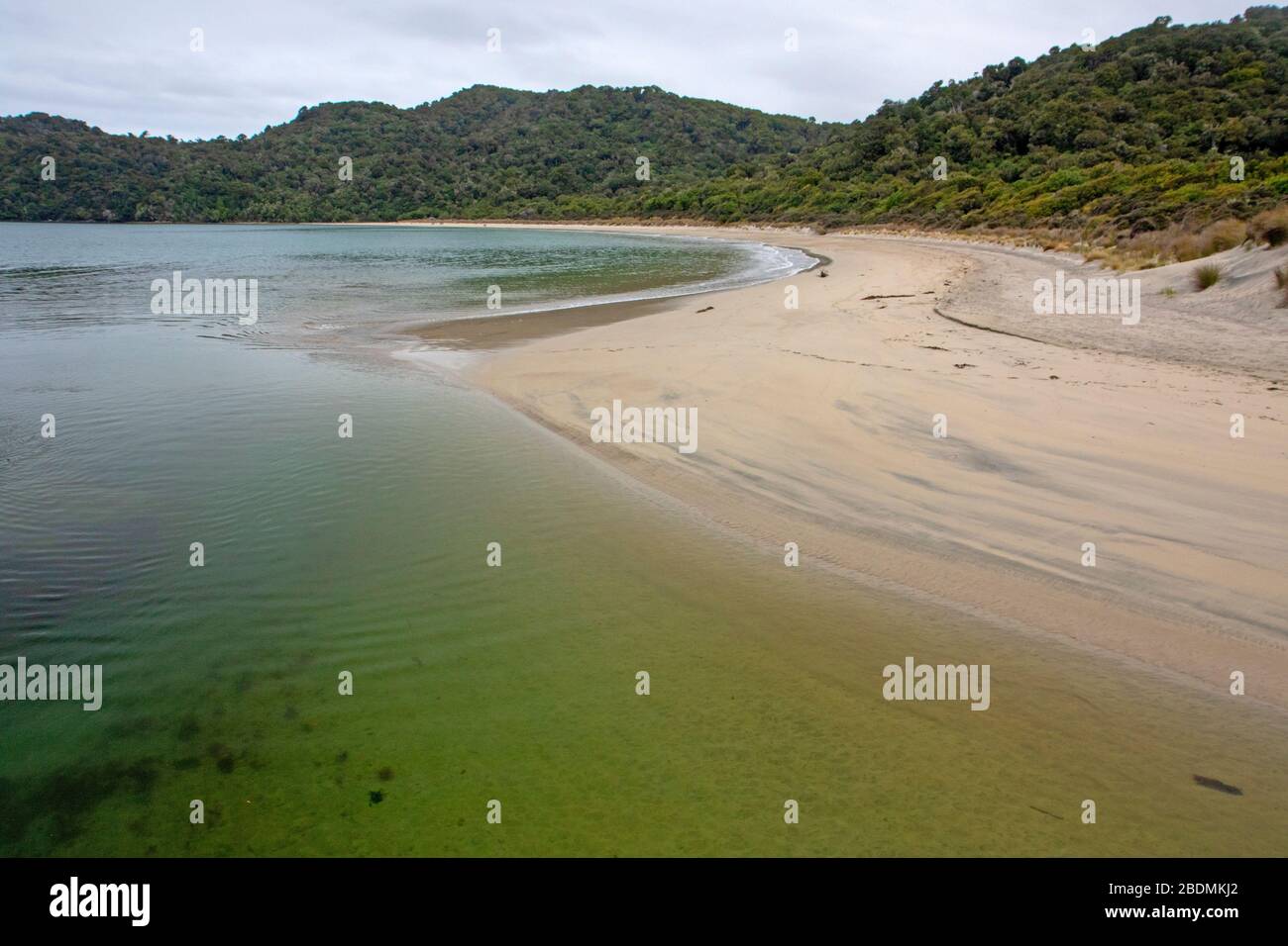 Maori Beach on Stewart Island Stock Photo - Alamy