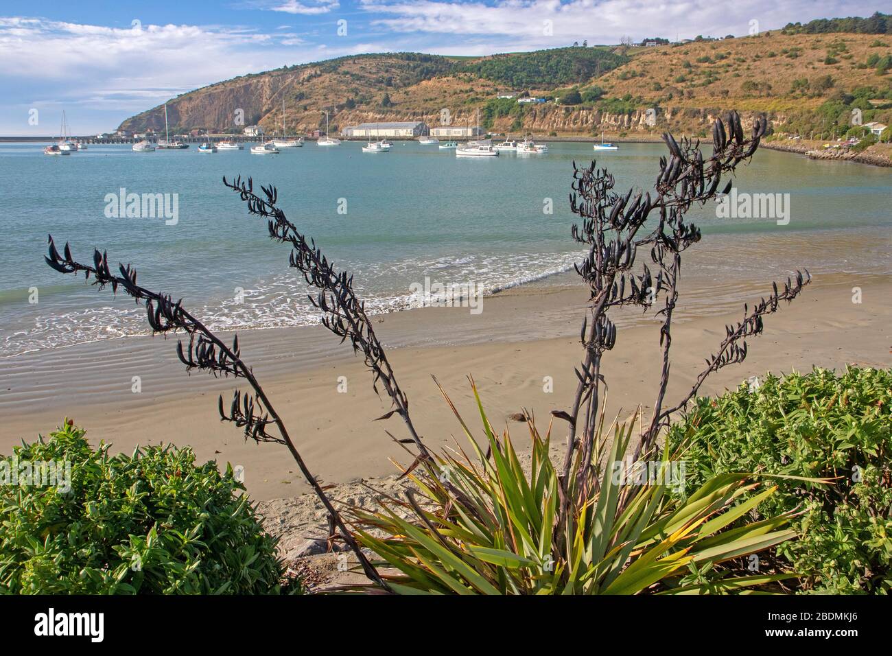 Beach at Oamaru Stock Photo - Alamy