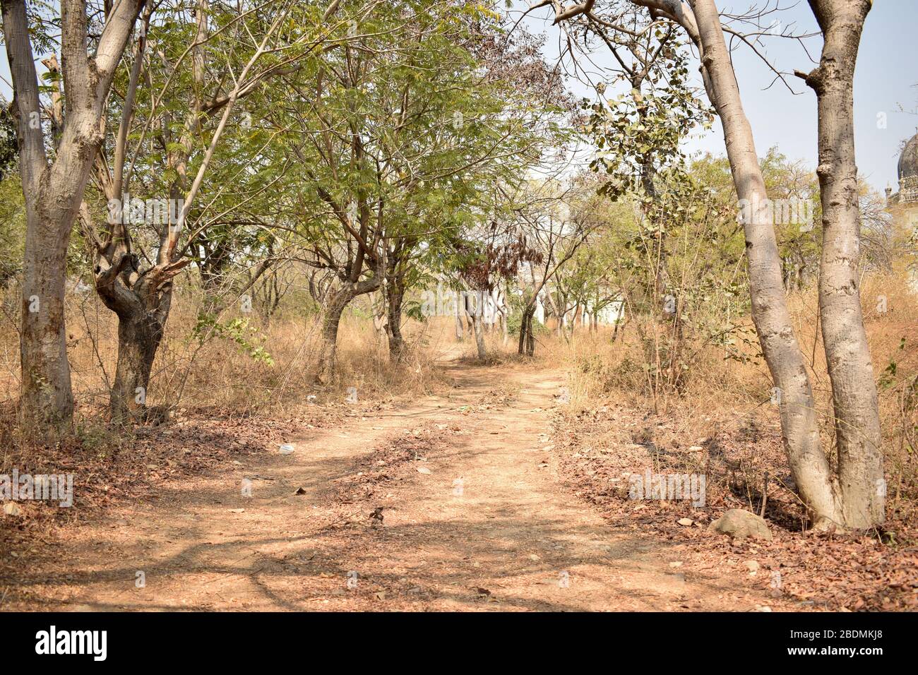 Pathway in Old Ancient Fort Background stock photograph image Stock ...
