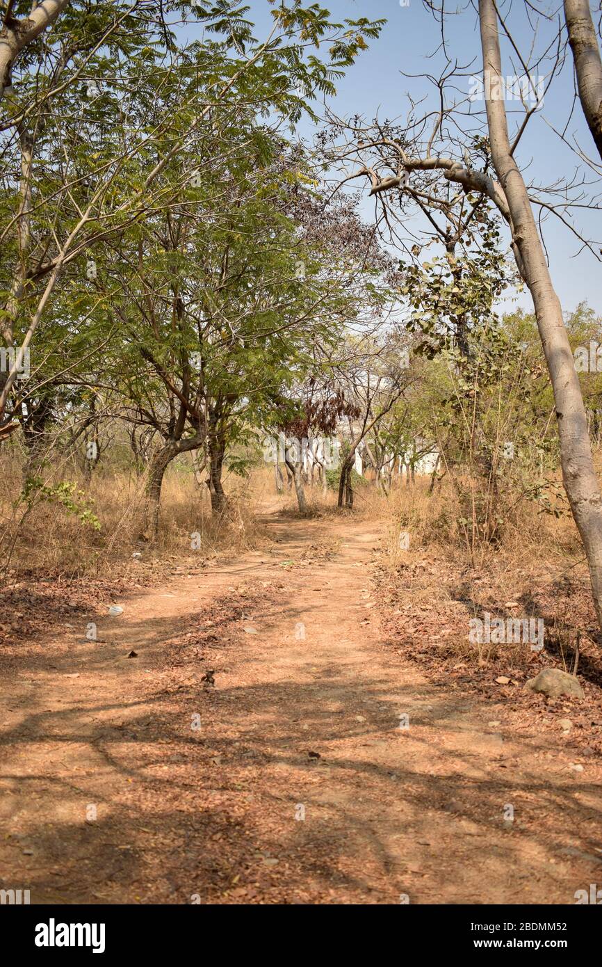 Pathway in Old Ancient Fort Background stock photograph image Stock ...