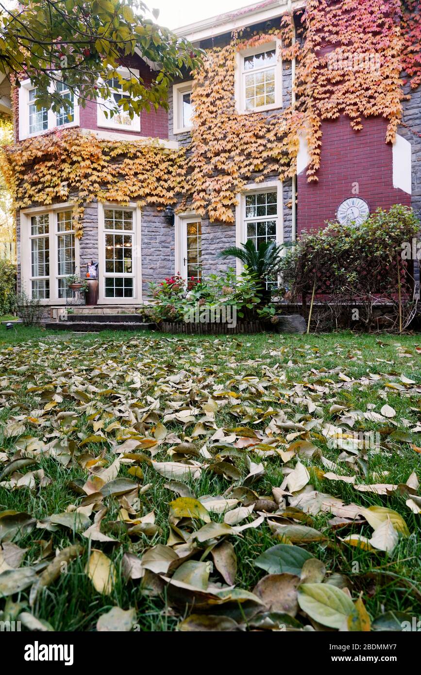 A private villa courtyard Stock Photo - Alamy