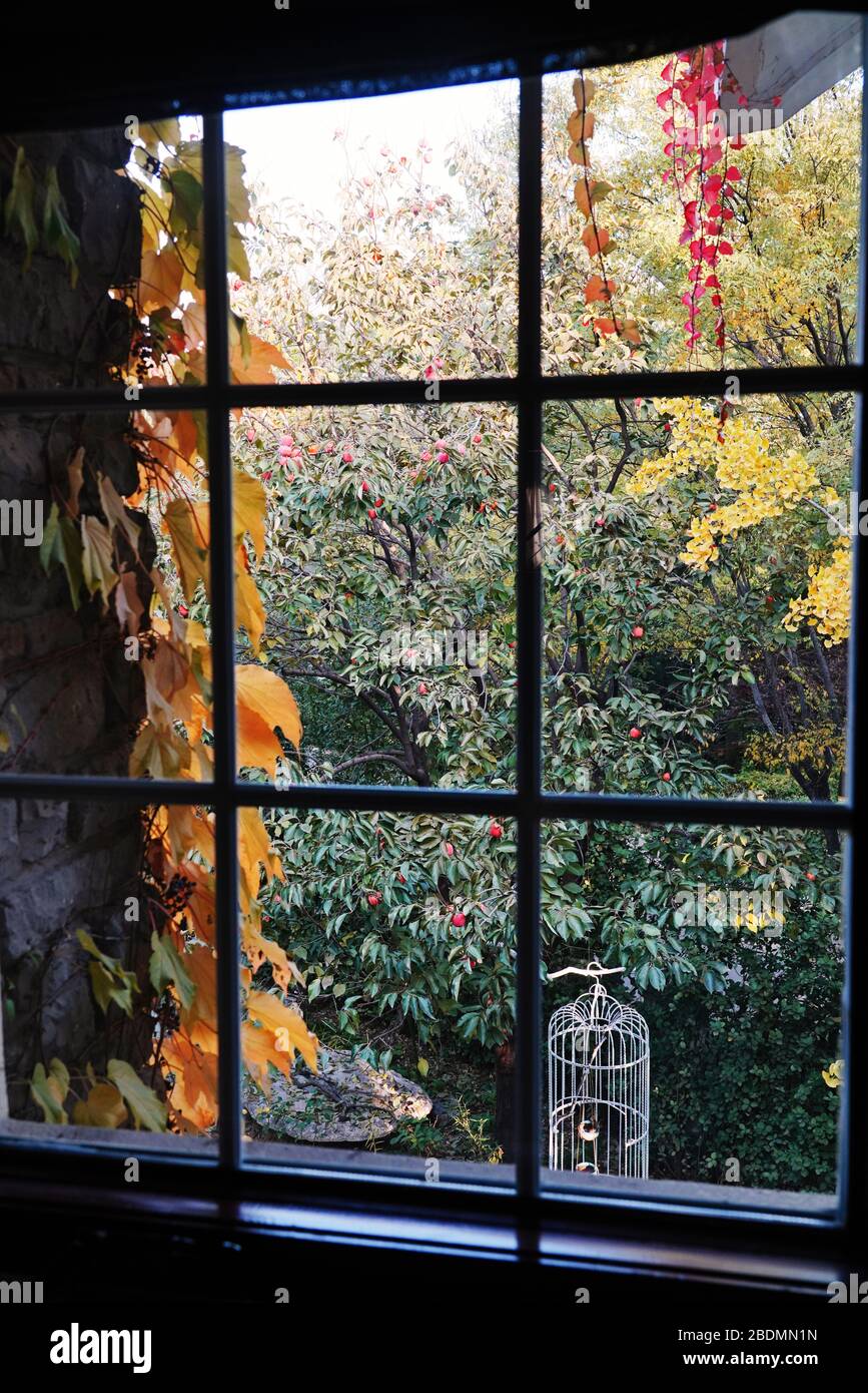 Autumn on the beautiful scenery in the garden through the window Stock ...