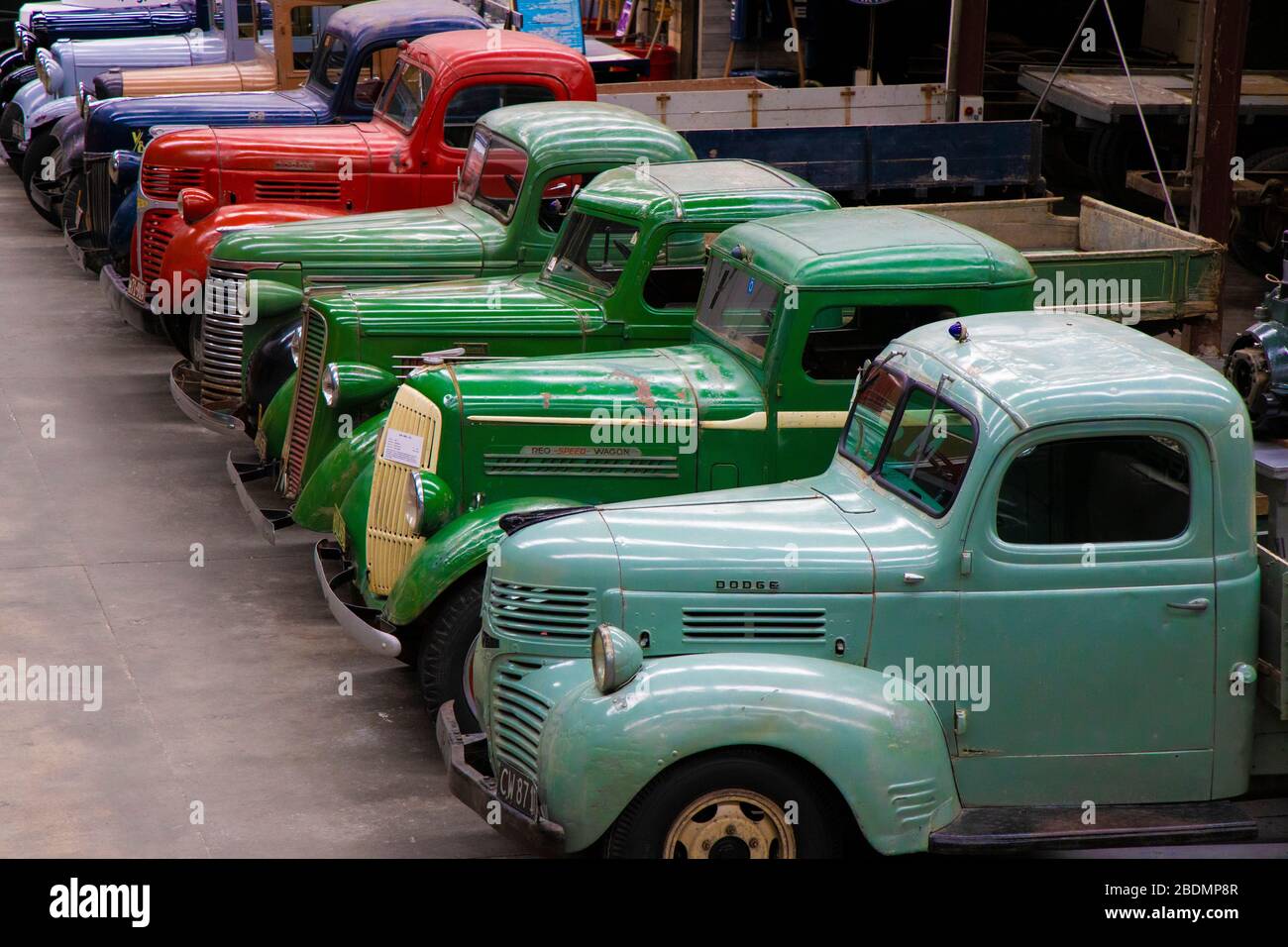 Assorted Dodge and REO Speedwagon commercial vehicles collection at the ...