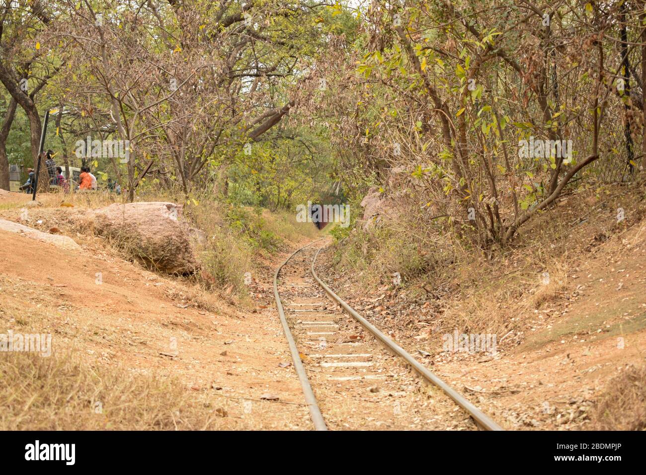 old abandoned Train Tracks in Forest stock photograph image Stock Photo ...