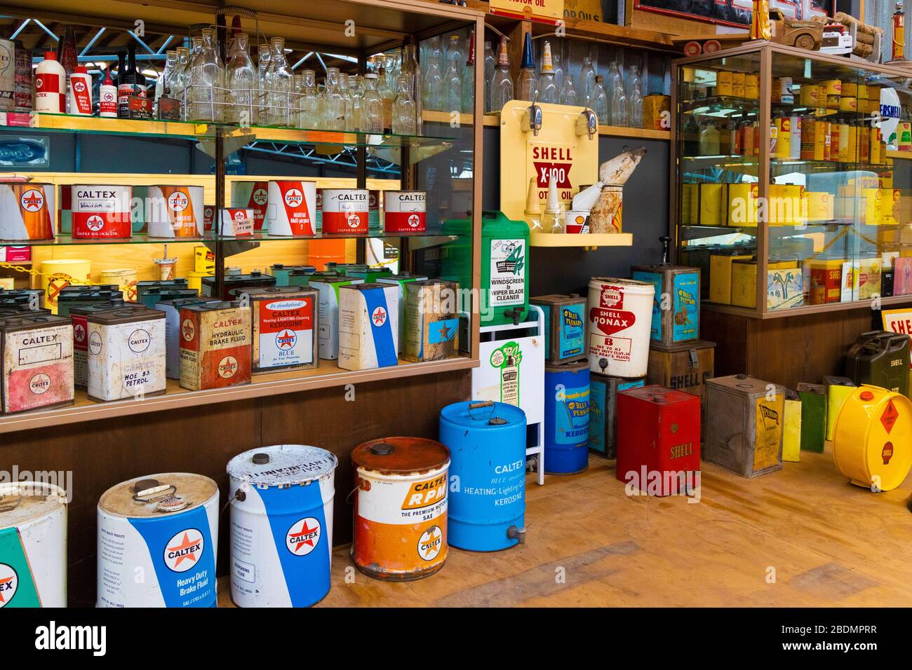 Shell collection display hi-res stock photography and images - Alamy