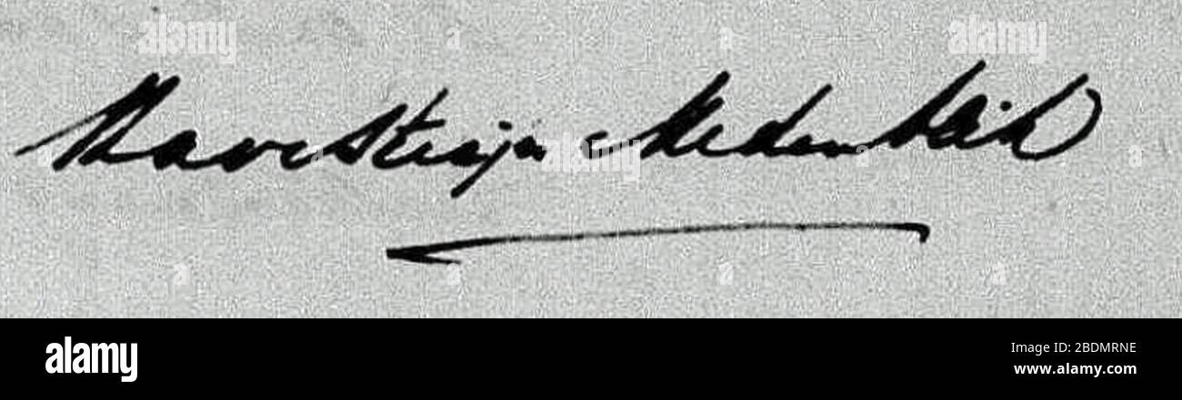 Handtekening Anthony Henricus Ravensteijn Medenblik (1809-1855 Stock ...