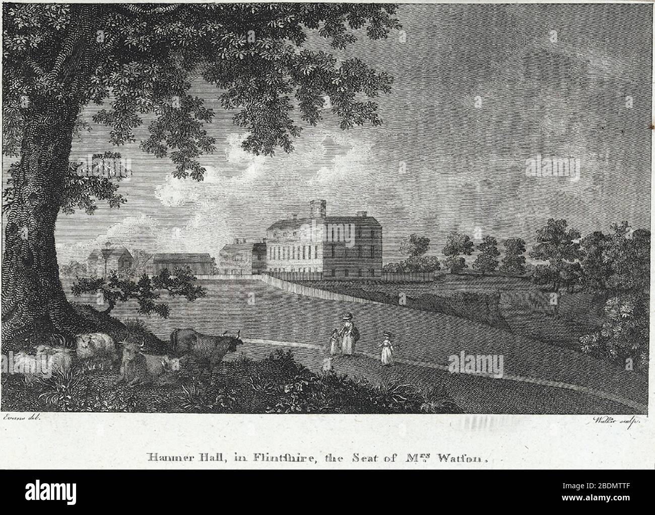 Mrs watson hi-res stock photography and images - Alamy