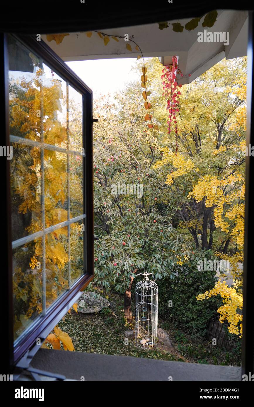 East front from the courtyard hi-res stock photography and images - Alamy