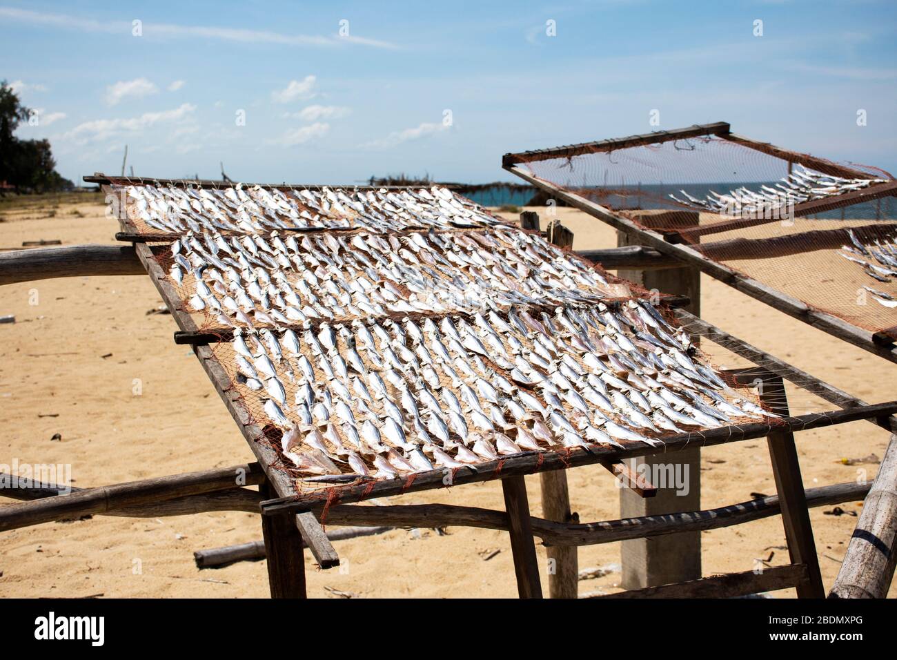 Sun dried salty fish at the beach hi-res stock photography and images ...