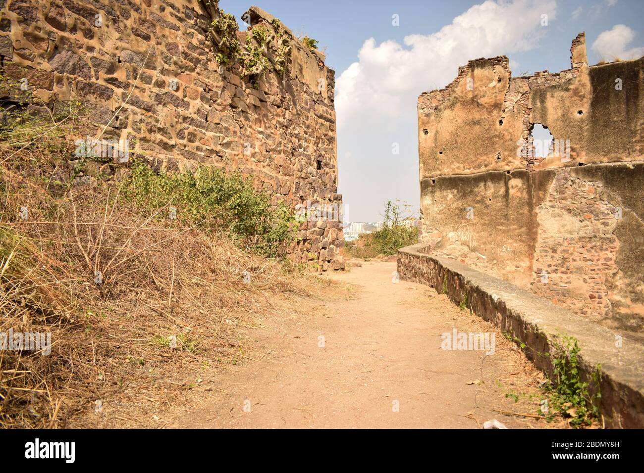 Dirty Road Pathway Background,Falling Leaves on dirty road stock ...