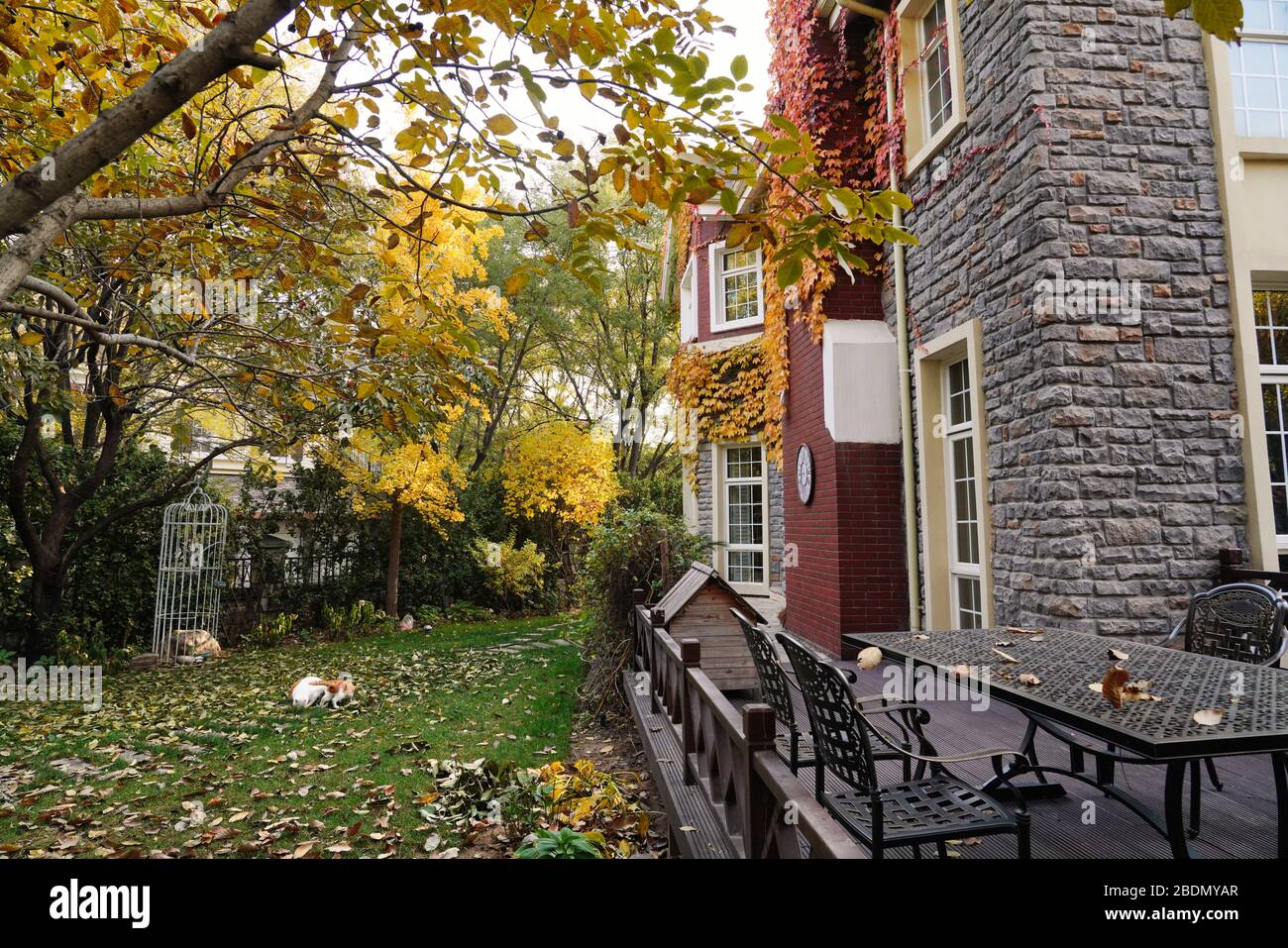 Ginkgo bed hi-res stock photography and images - Alamy