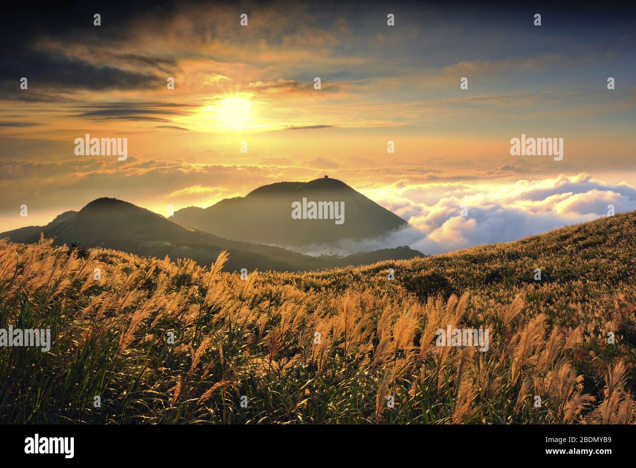 Chinese Silver Grass hill in Taipei Taiwan Stock Photo - Alamy