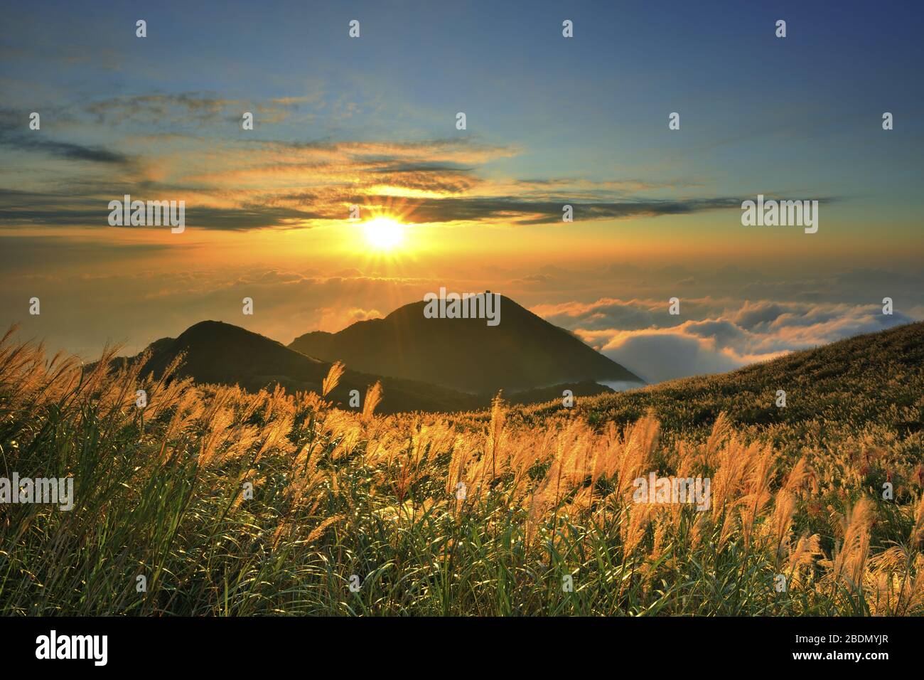 Chinese Silver Grass hill in Taipei Taiwan Stock Photo - Alamy