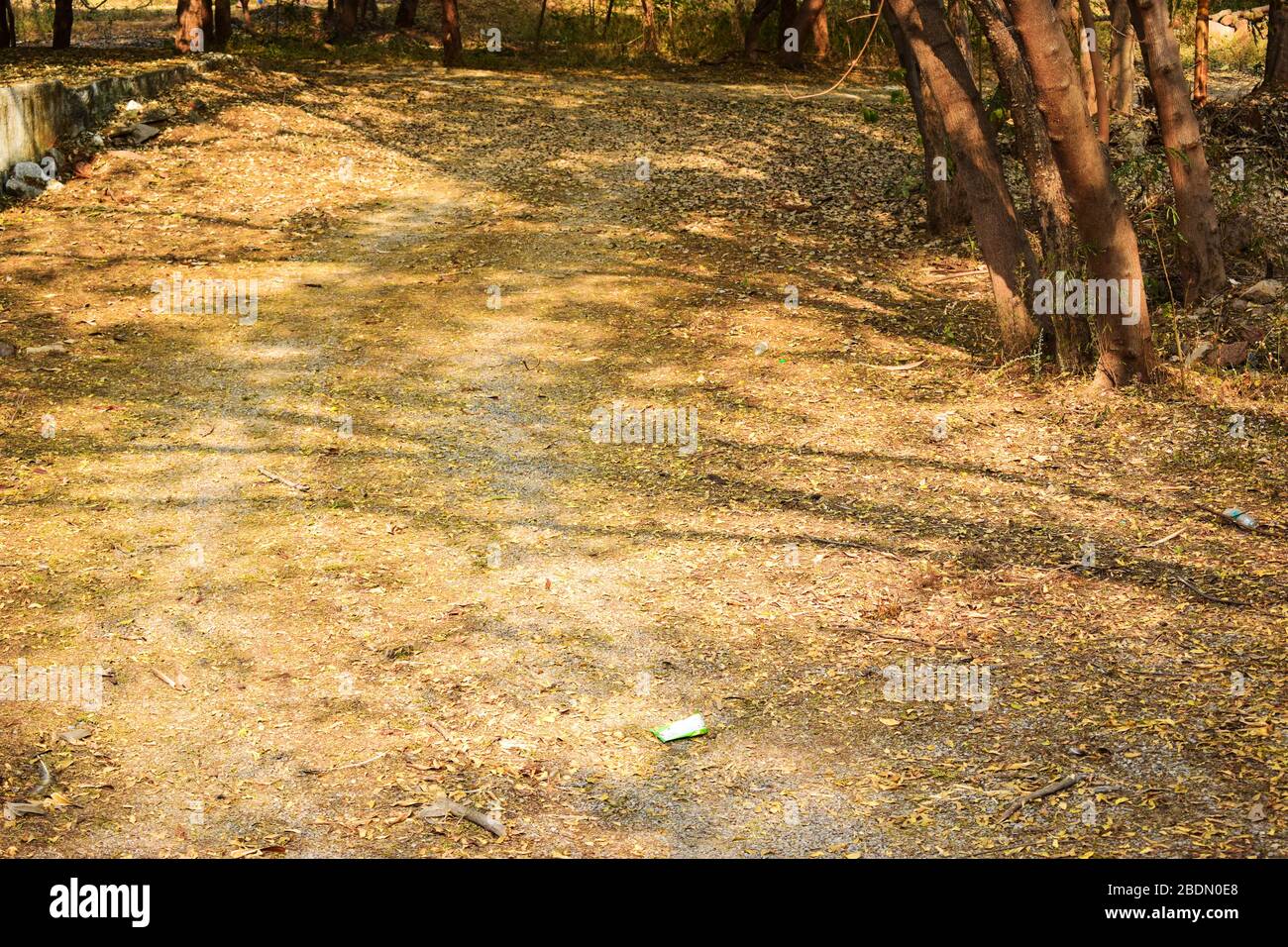 Dirty Road Pathway Background,Falling Leaves on dirty road stock ...