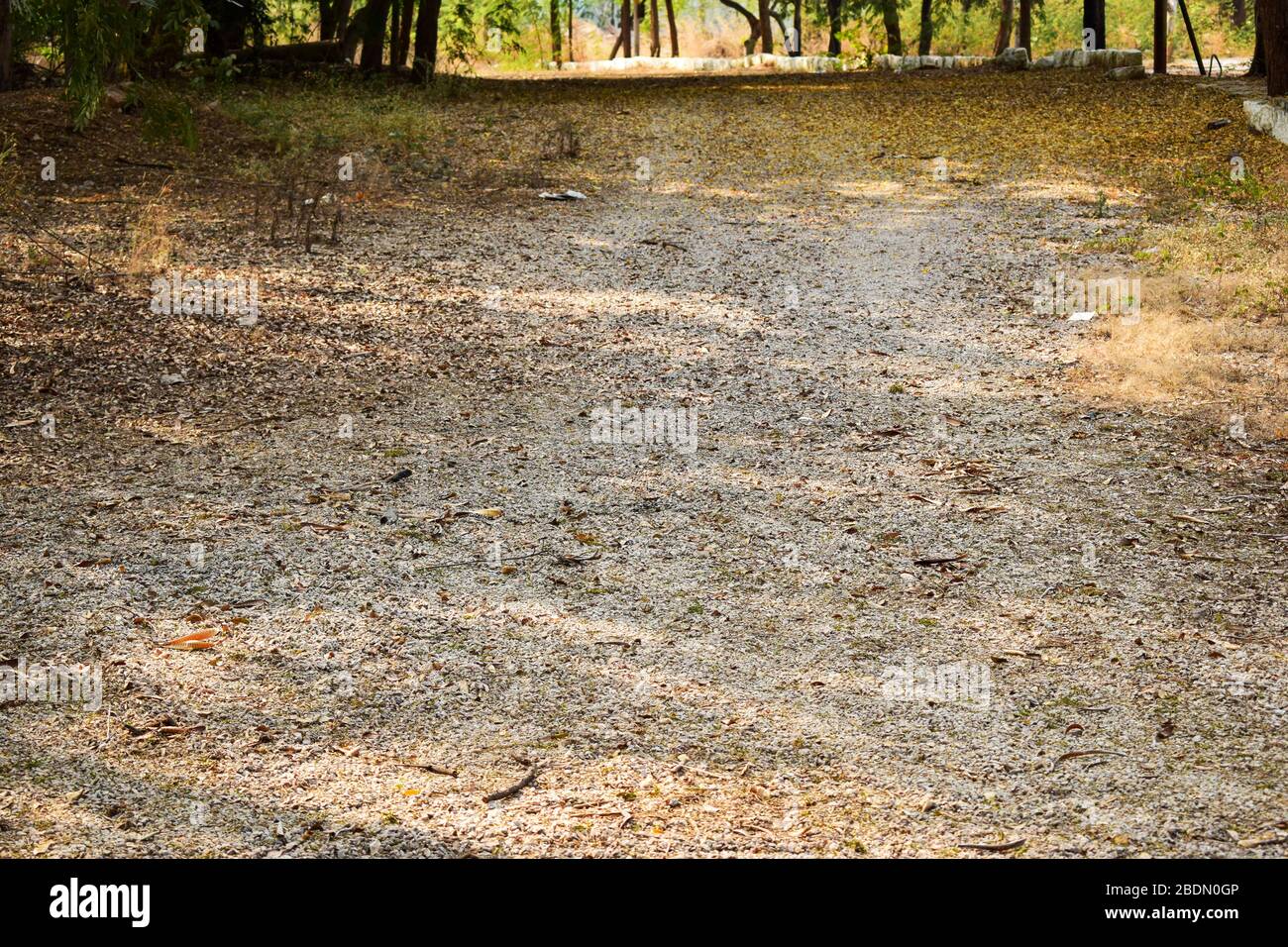 Dirty Road Pathway Background,Falling Leaves on dirty road stock ...