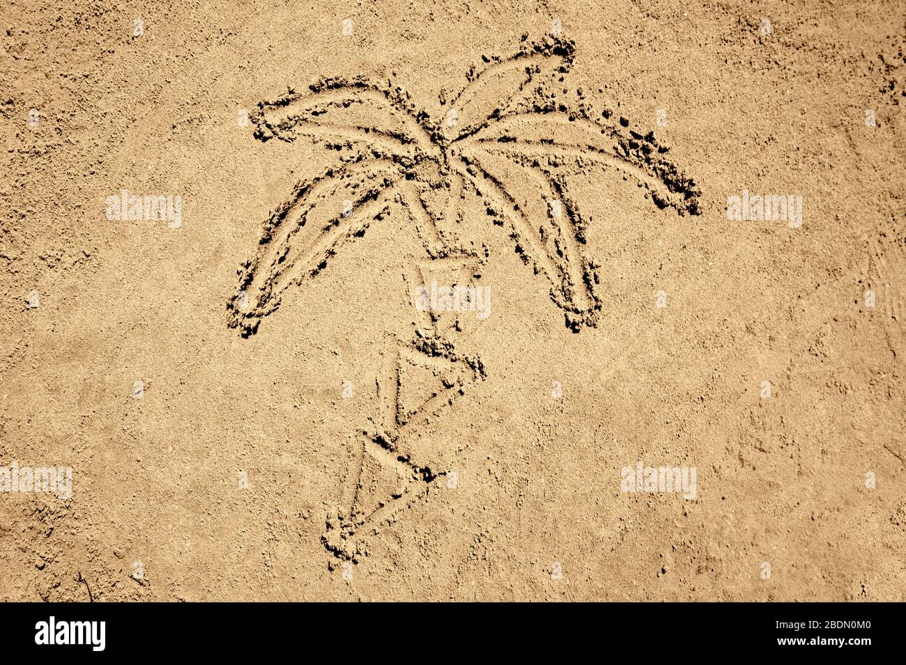 Palm tree - beach, sand Stock Photo - Alamy