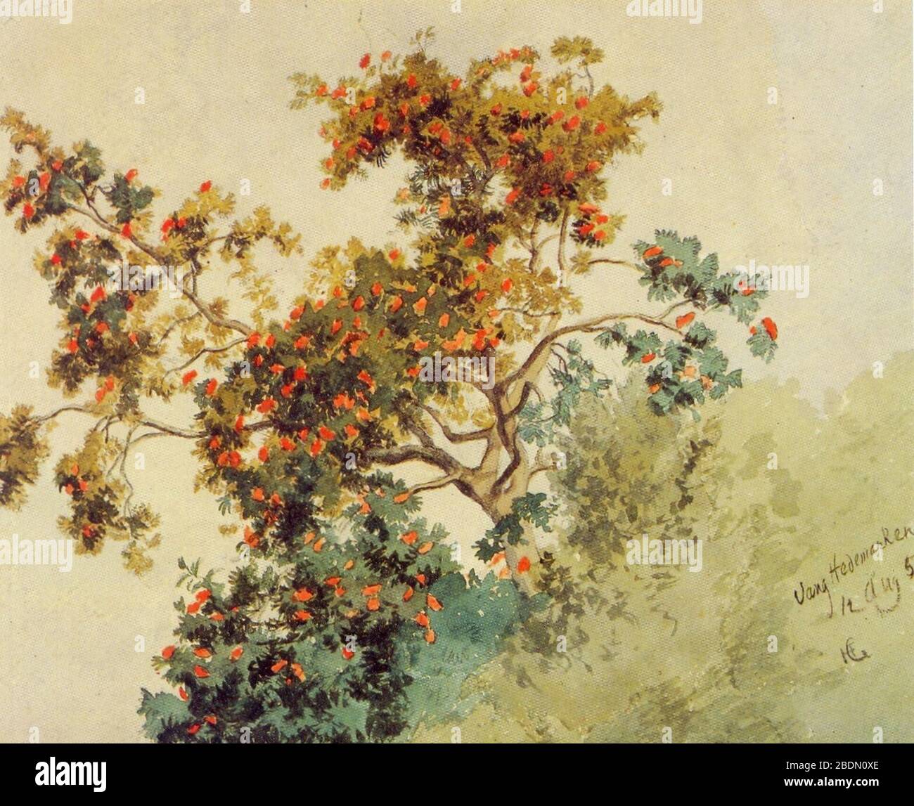 Hans Gude - Rognebærtre, Vang - 1853 Stock Photo - Alamy