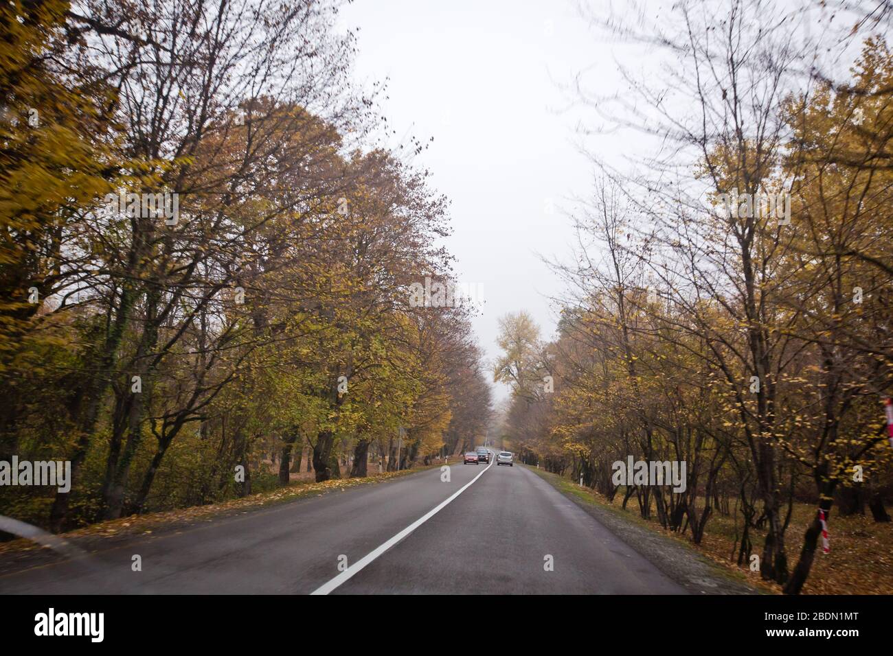 Autumn landscape with road and beautiful colored trees . Road in the ...
