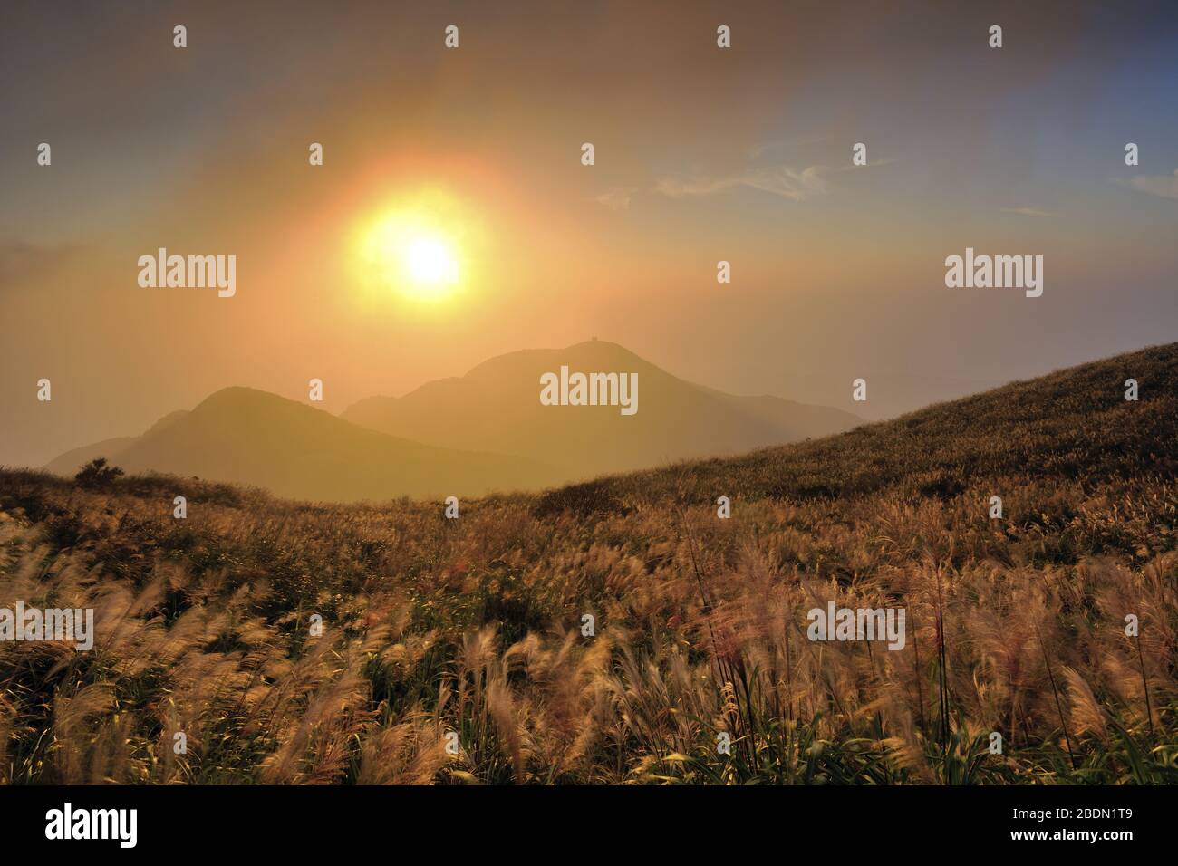 Chinese Silver Grass hill in Taipei Taiwan Stock Photo - Alamy