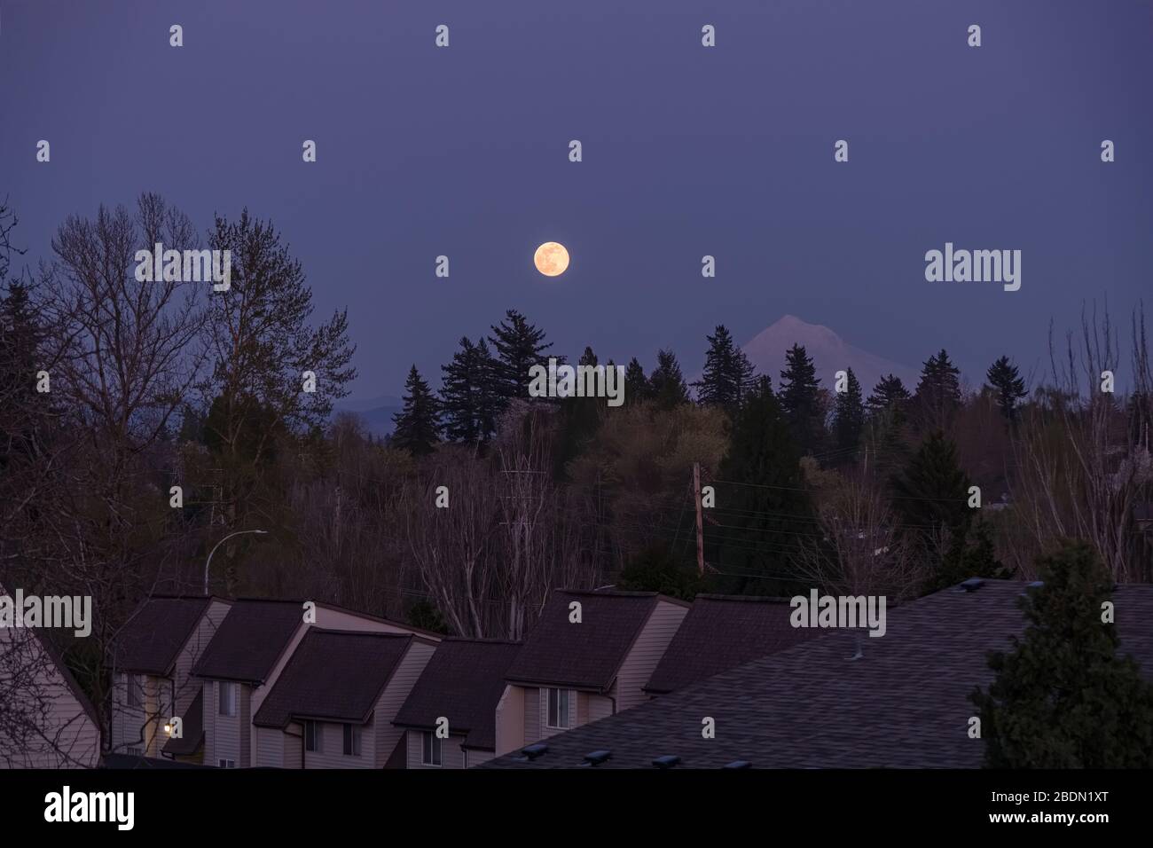 Moon over neighborhood hi-res stock photography and images - Alamy