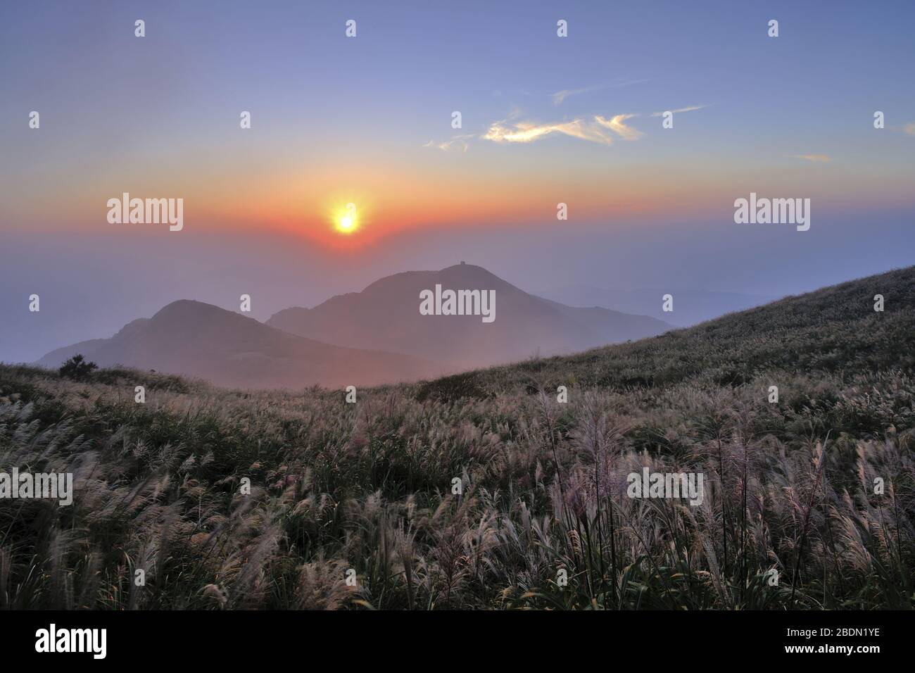 Chinese Silver Grass hill in Taipei Taiwan Stock Photo - Alamy