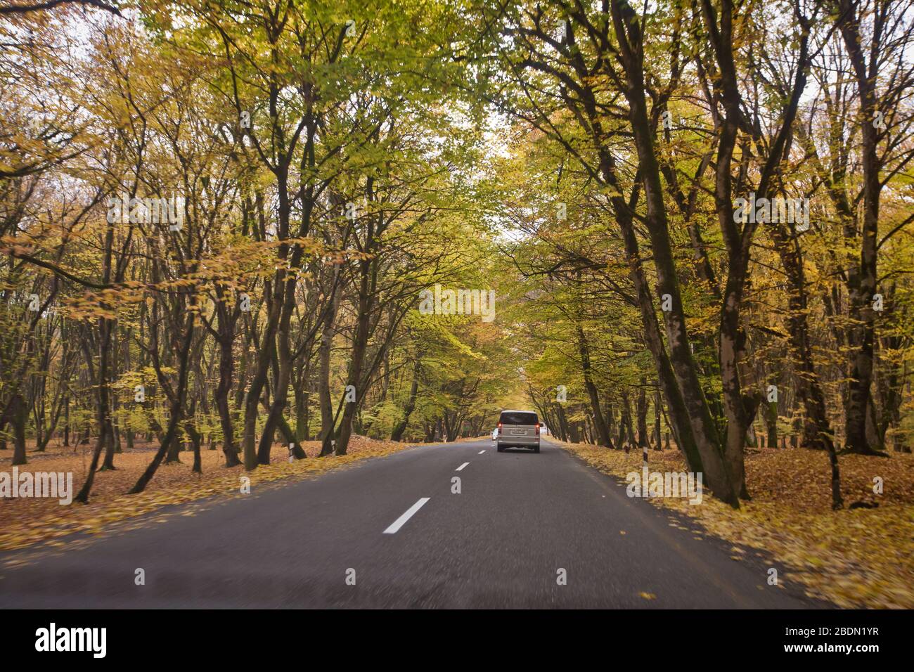 Autumn landscape with road and beautiful colored trees . Road in the ...