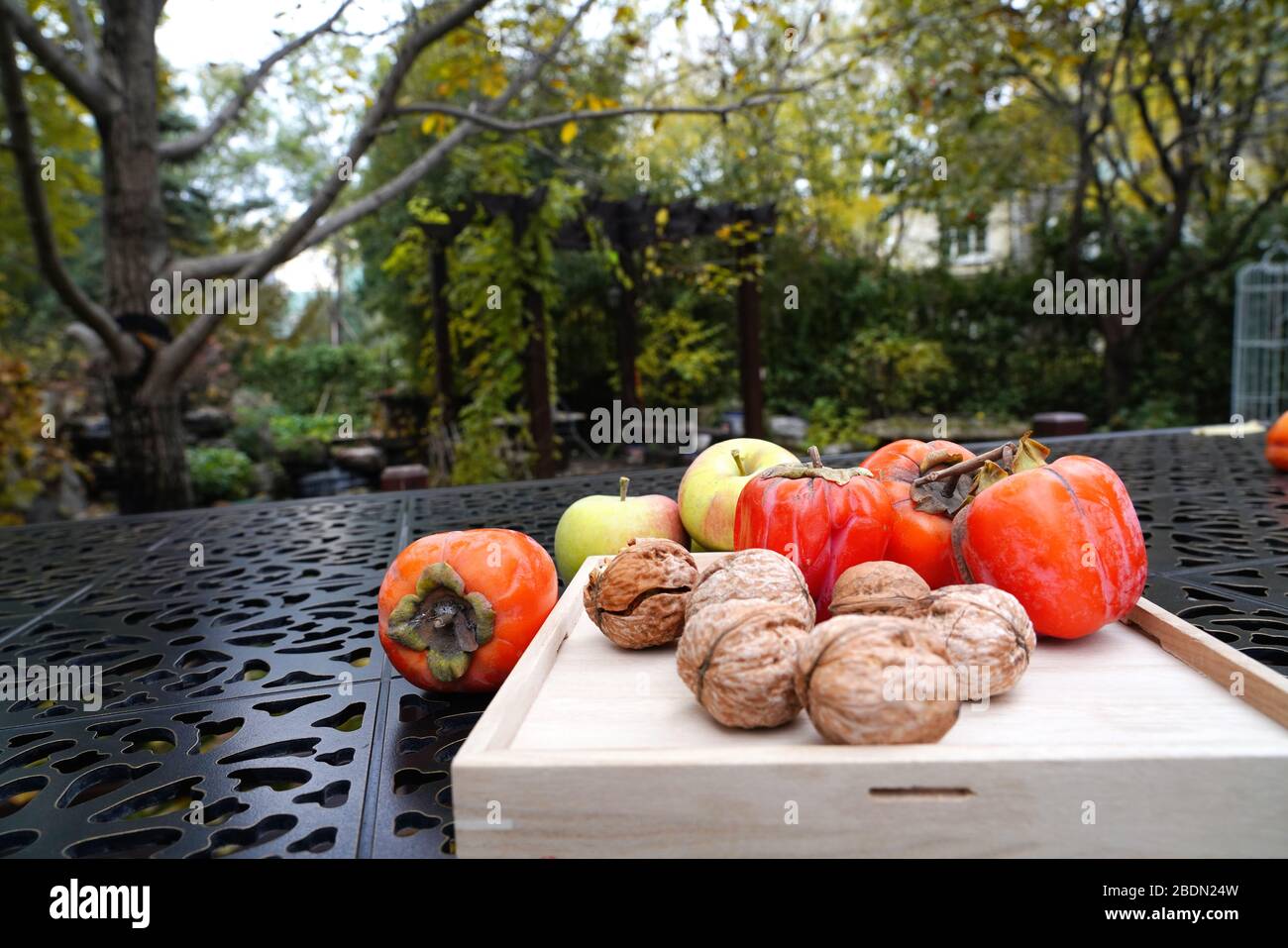Outdoor fruit harvest Stock Photo - Alamy
